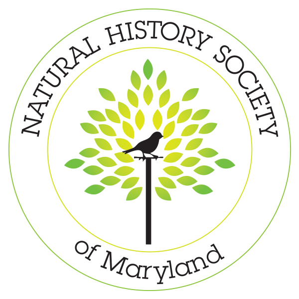 Natural History Museum Logo