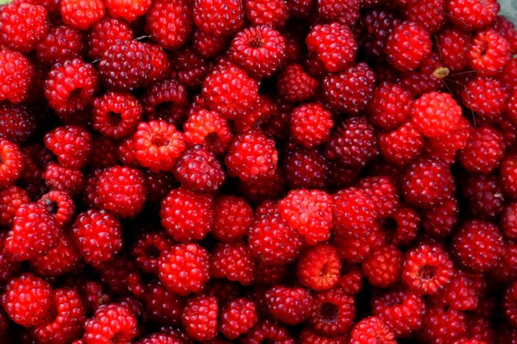 The Foraged Berries Series: How to Identify and Harvest Wineberries ...