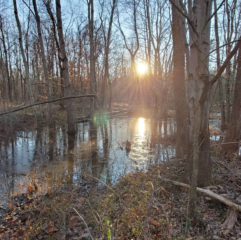 Winter Hike 1/22 Patuxent River Park – Natural History Society of Maryland