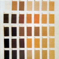 Fleshing it Out the Evolution of Skin Color – Natural History Society ...