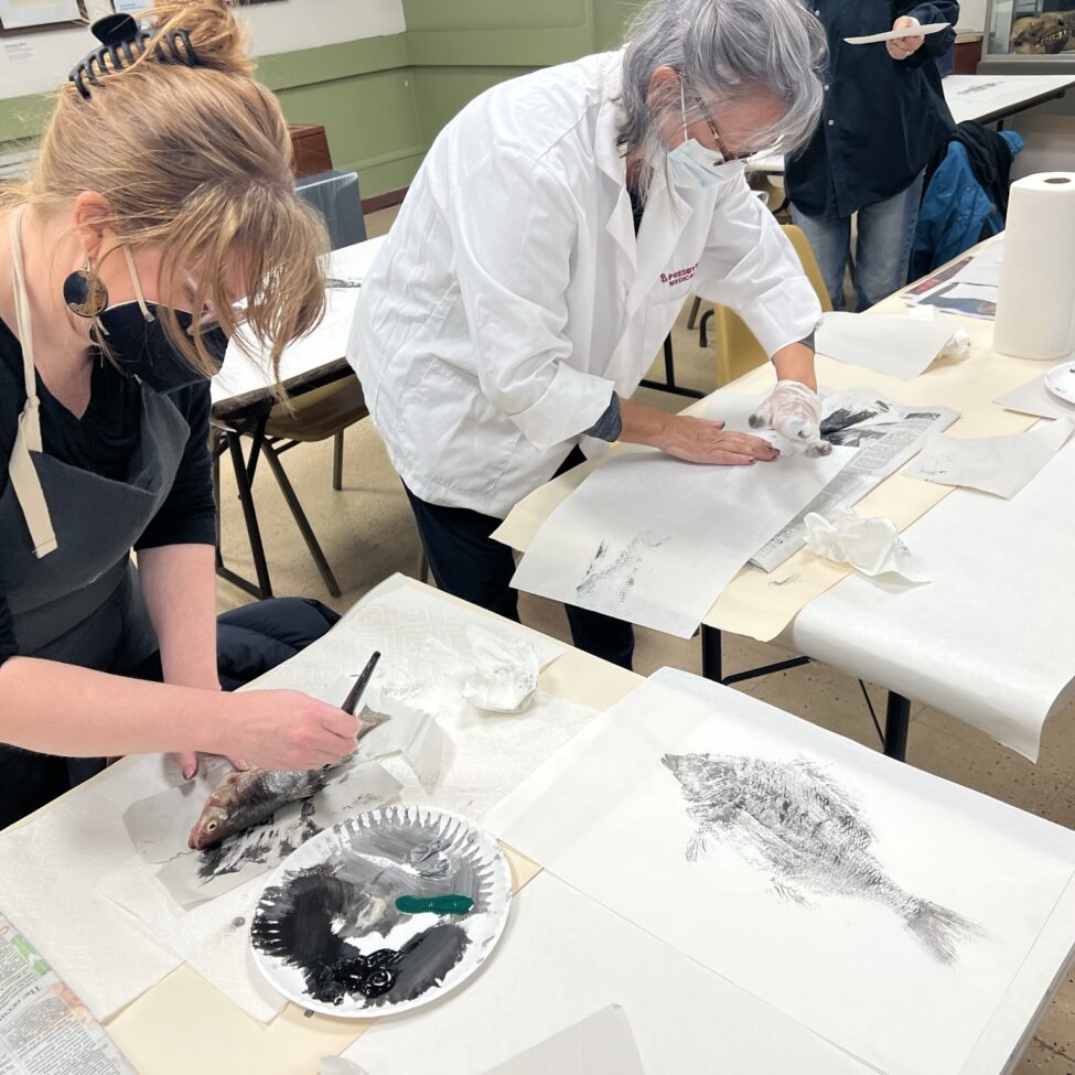 Natural History Society of Maryland - Events