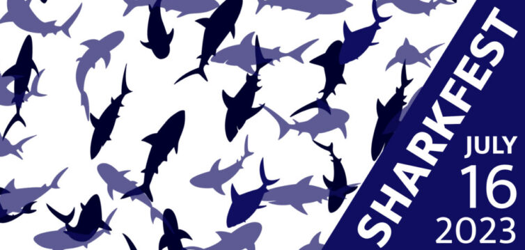 SharkFest 2023 – Sink Your Teeth Into Fun – Natural History Society of ...
