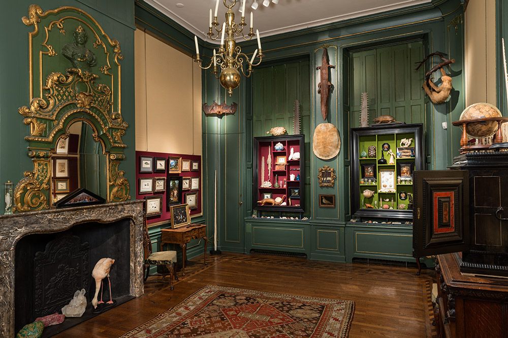 The Cabinet of Curiosities – Natural History Society of Maryland