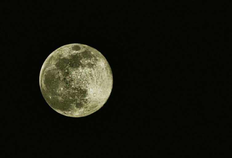 Full Moon Canoe Float at Jug Bay – Natural History Society of Maryland