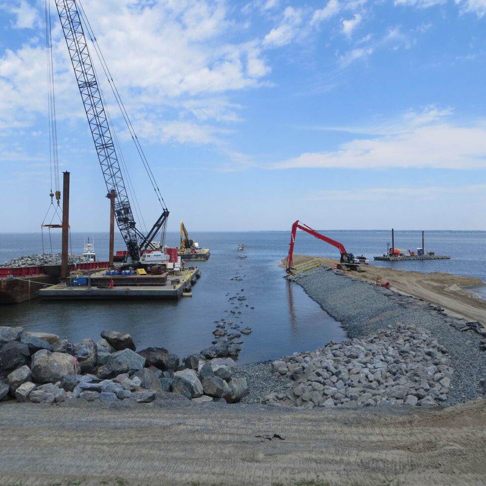 How to Grow an Island – Natural History Society of Maryland