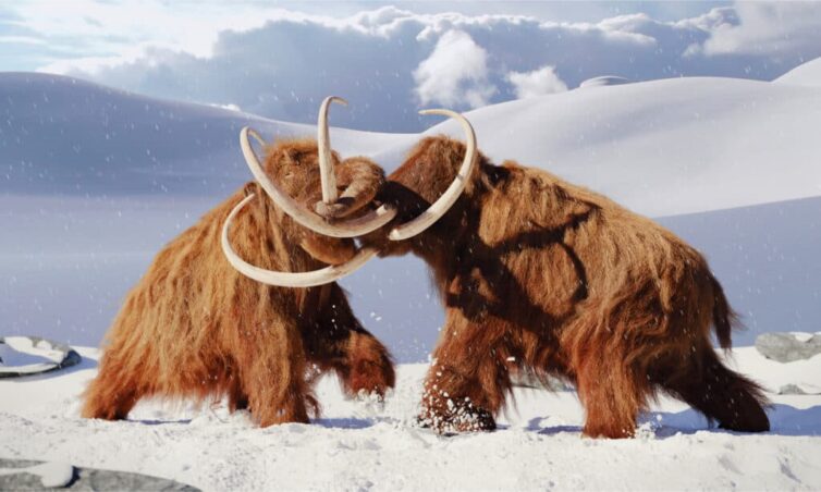 Memories of Mammoths (and Mastodons): Late Pleistocene Proboscidean ...