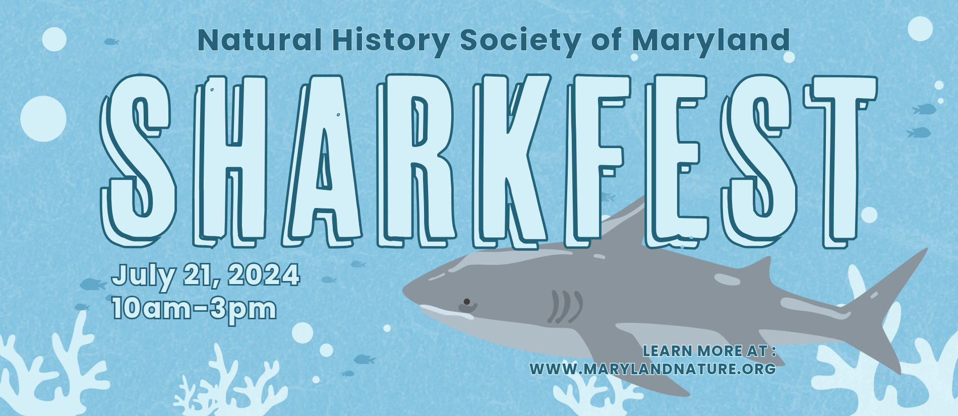 SharkFest 2024 – Natural History Society of Maryland