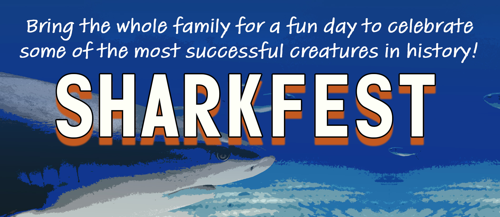 Shark Fest – Natural History Society of Maryland