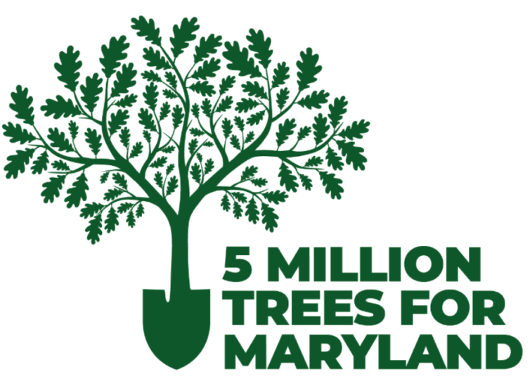 Maryland’s 5 Million Tree Initiative – Natural History Society of Maryland