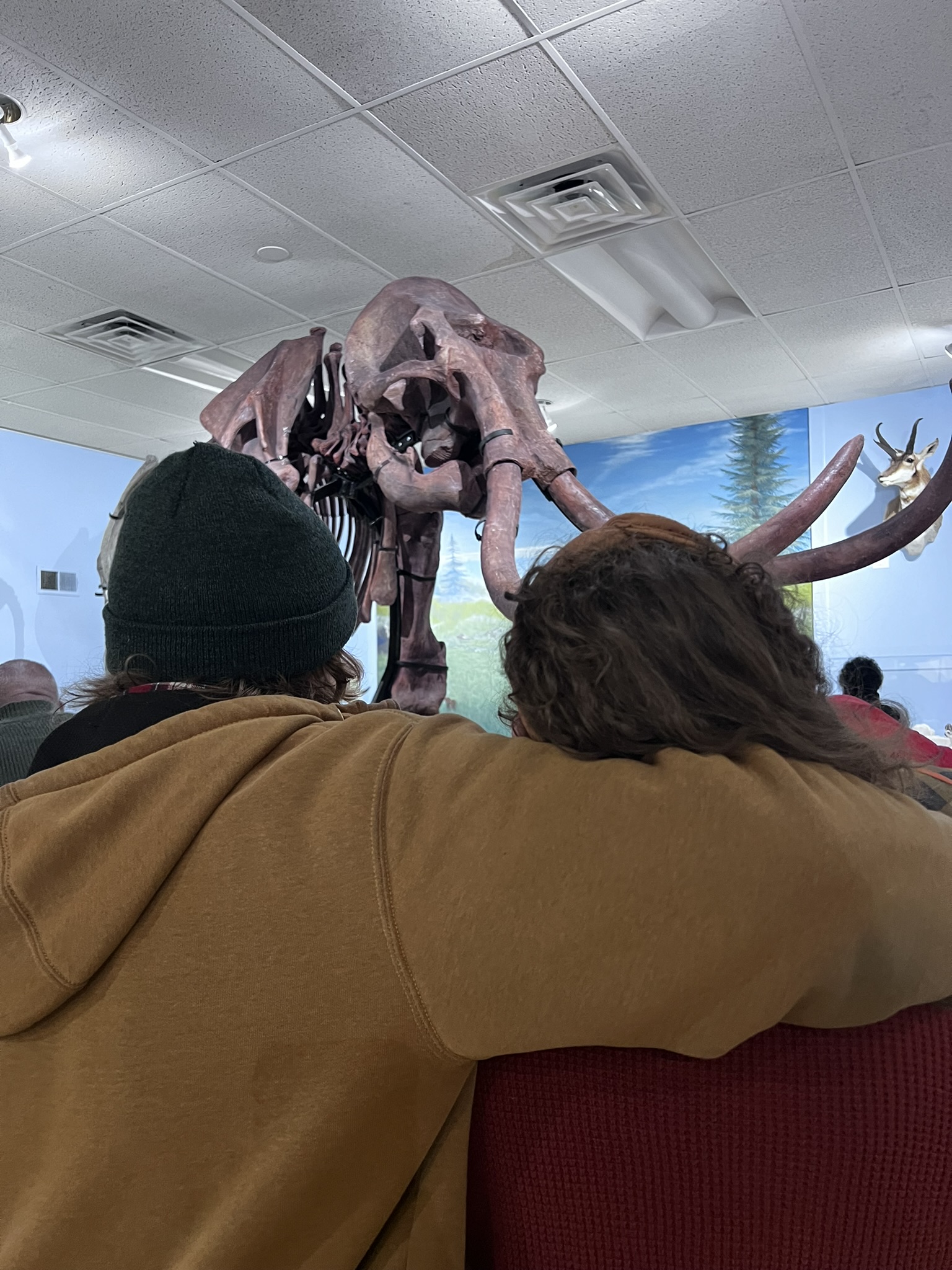 The Mammoth Project – Natural History Society of Maryland