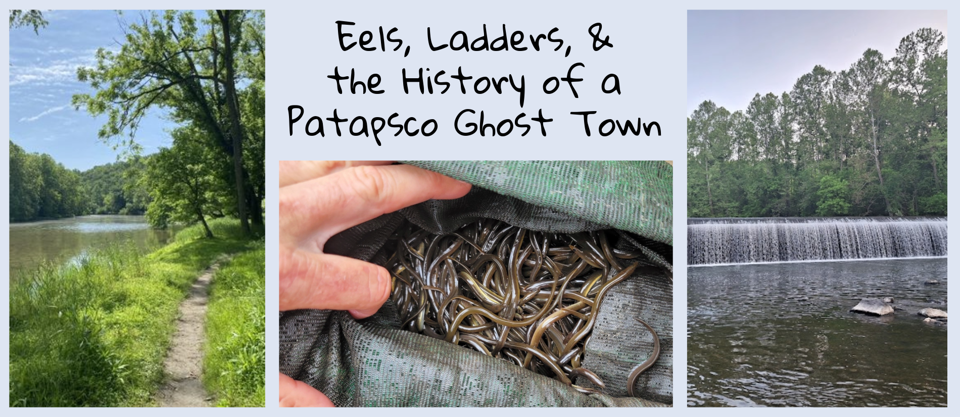 Eels, Ladders, & the History of a Ghost Town Field Trip – Natural ...