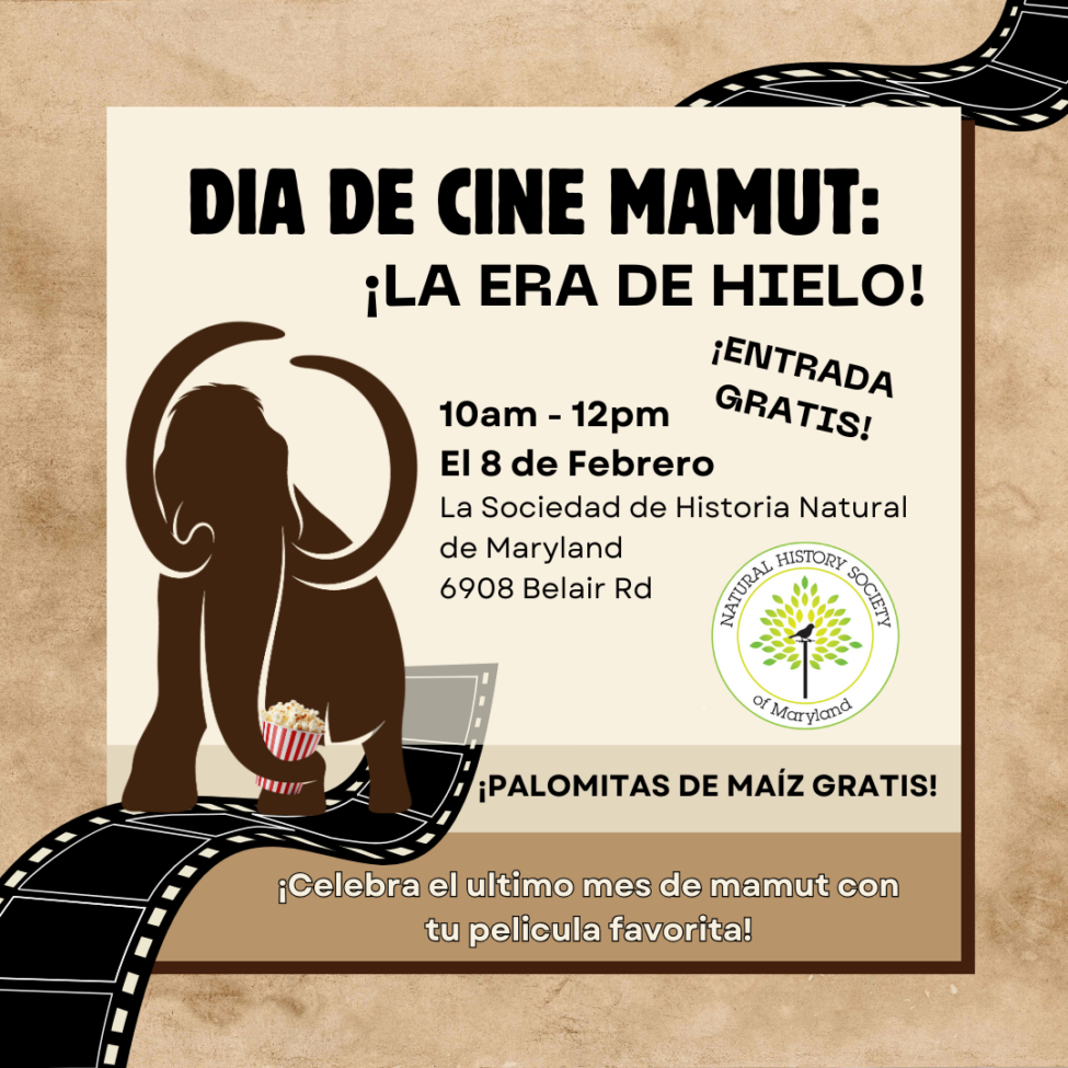 Mammoth Movie Day! – Natural History Society of Maryland