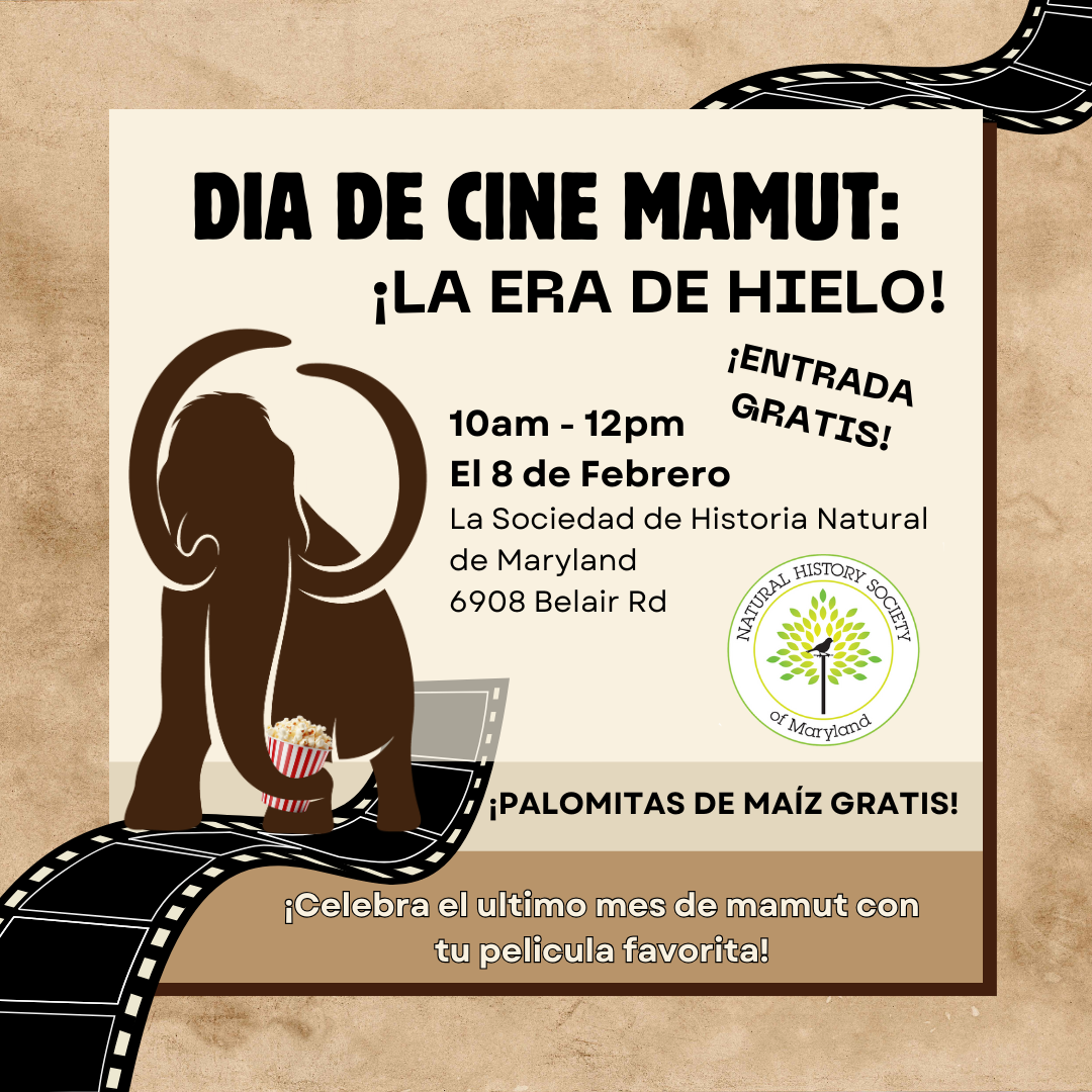 Mammoth Movie Day! – Natural History Society of Maryland