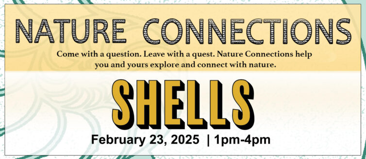 Natural History Society of Maryland - Nature Connection: Shells