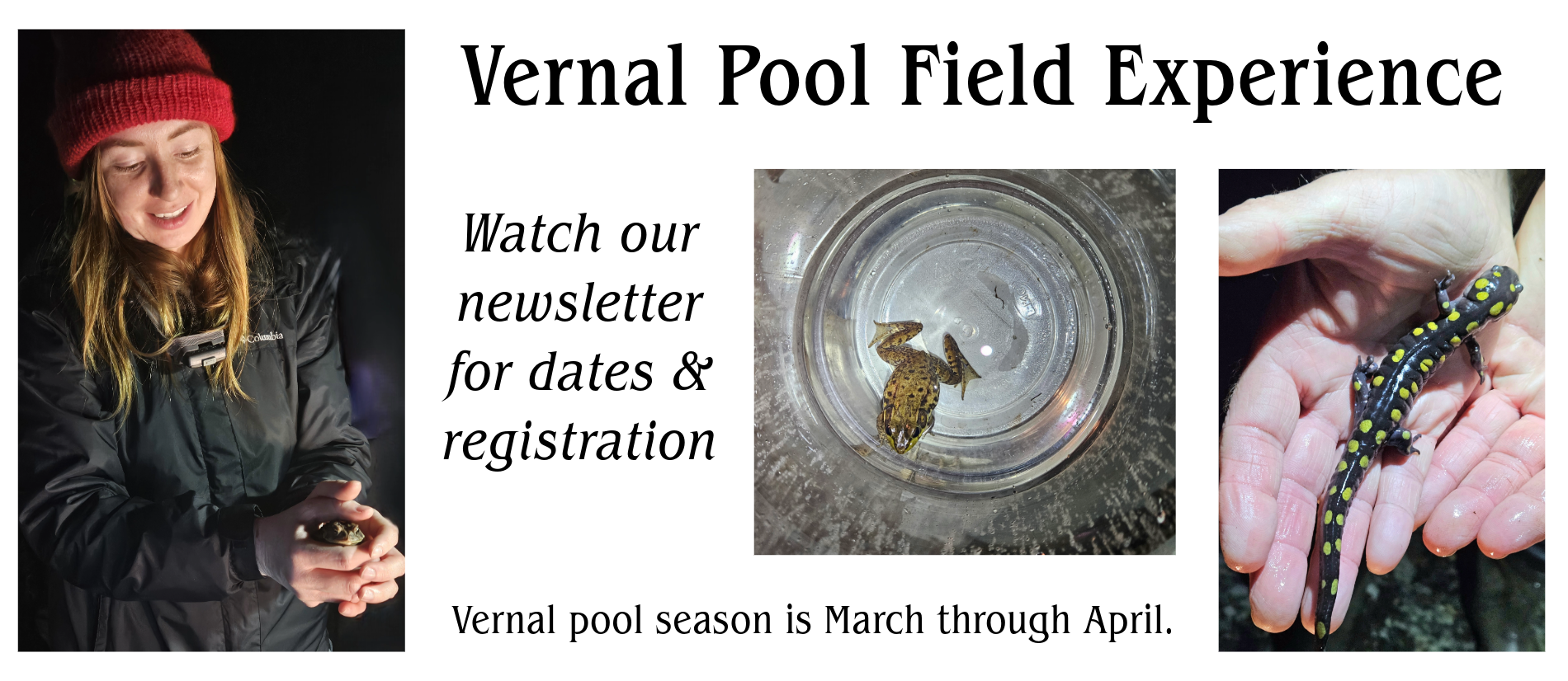 Vernal Pool Pop-Up Field Experiences – Natural History Society of Maryland