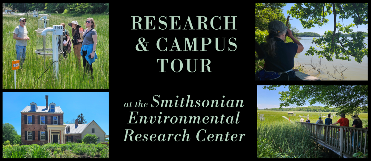 Research & Campus Tour at the Smithsonian Environmental Research Center ...