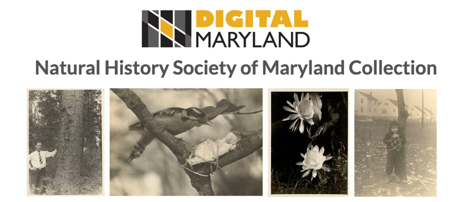 Natural History Society of Maryland