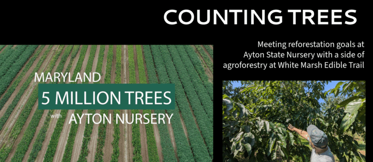 Counting Trees – Natural History Society of Maryland