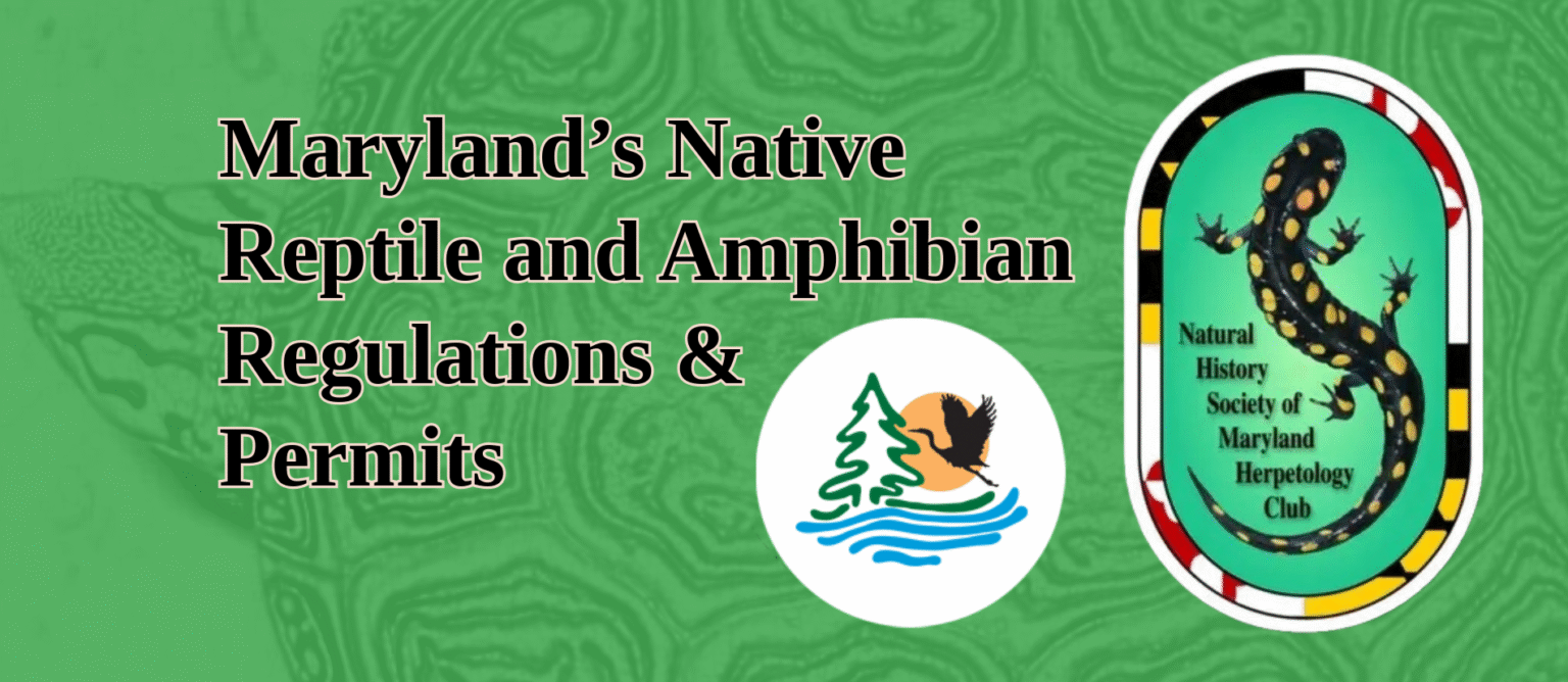 Natural History Society of Maryland - Herp Club Dec: Update on Maryland ...
