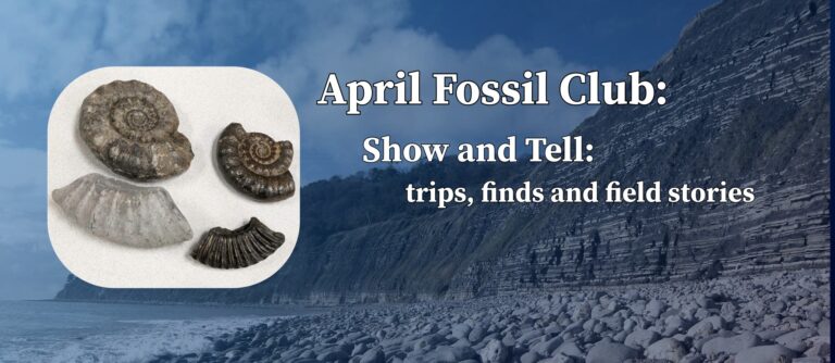 Fossil Club Show and Tell: trips, finds and field stories – Natural ...